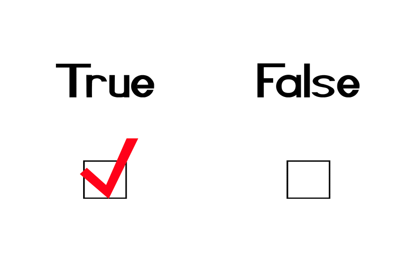 True Or False Boolean Is A Data Type Digilent Blog